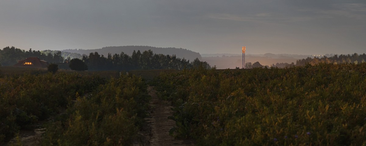 Wanderlust: A History of Walking – Rebecca Solnit – bookskeptic.com