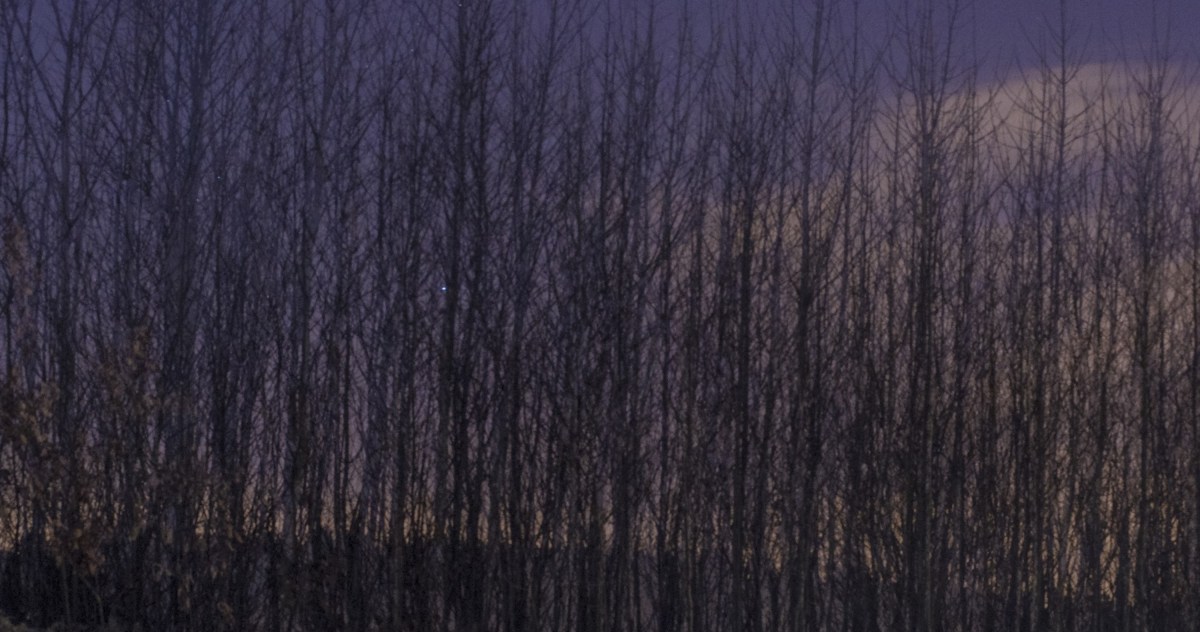 The Foundling – Stacey Halls – bookskeptic.com